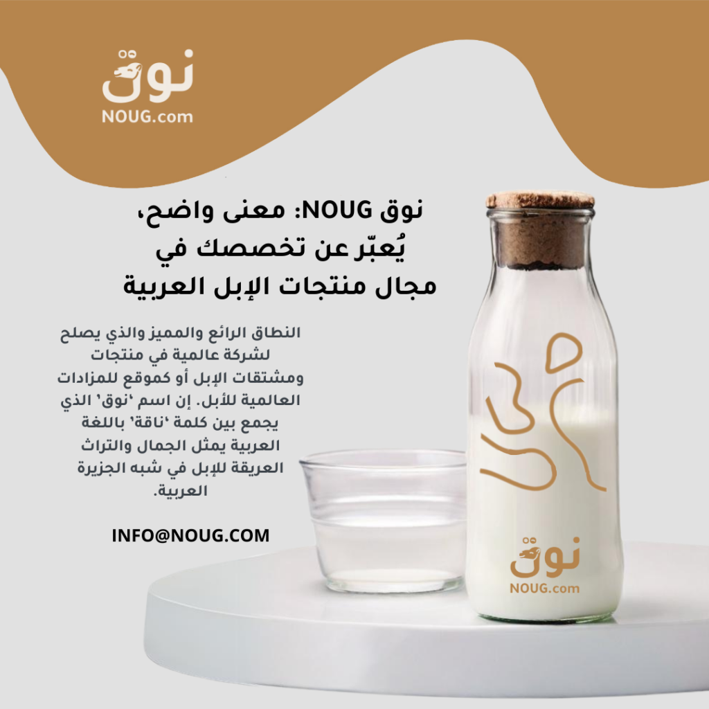 لحم النوق والجمال - لحم الإبل - نوق | Noug